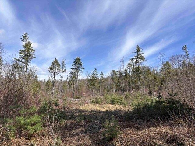 M L Old Turnpike Rd, Richmond, Plot For Sale