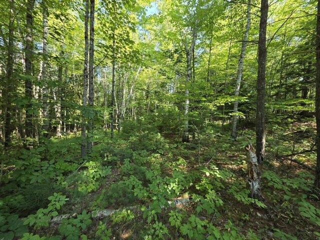 M L Lowell Rd, Enfield, Plot For Sale
