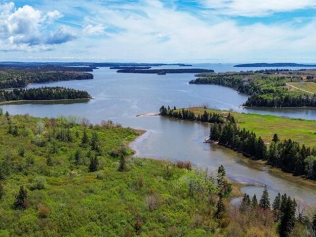 M L Mason Bay Rd, Jonesport, Plot For Sale