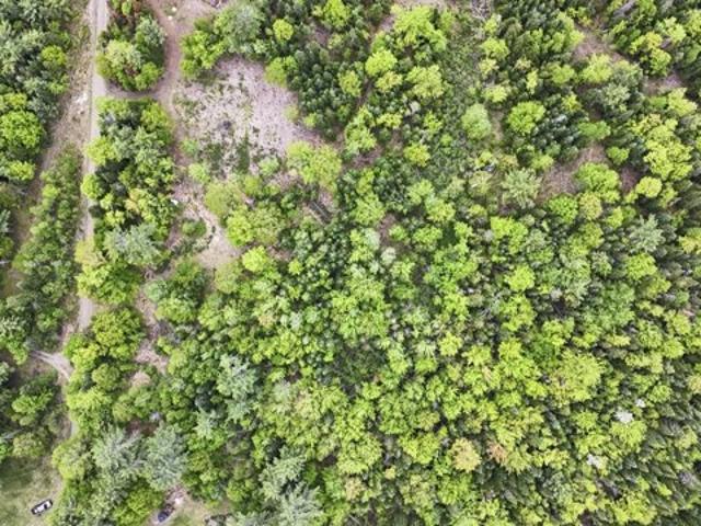 M L S Ridge Rd, Palmyra, Plot For Sale