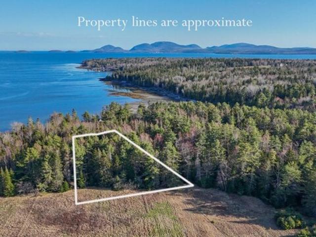 M L Salt Pond Rd, Hancock, Plot For Sale