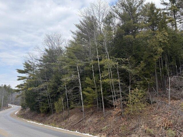 M L Shady Nook Rd, Newfield, Plot For Sale