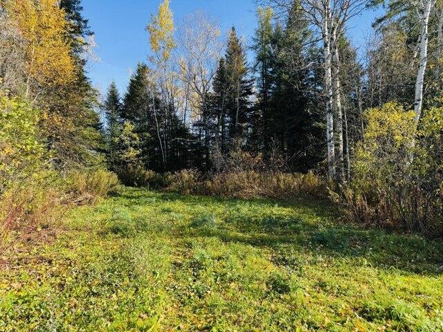 M L Pease Rd, Mapleton, Plot For Sale