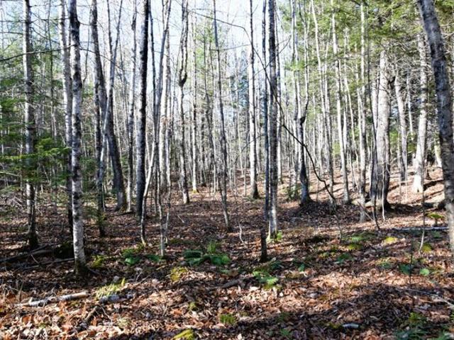 M L Pine Bluff Rd, Embden, Plot For Sale