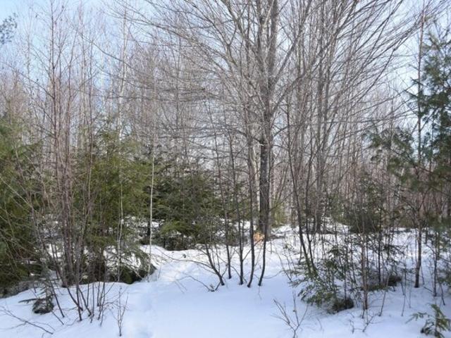 M L Pine Bluff Rd, Embden, Plot For Sale