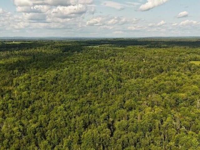 M L Wheaton Rd, Dover Foxcroft, Plot For Sale