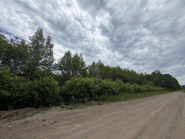 M La Osgood Rd, Carroll Plt, Plot For Sale