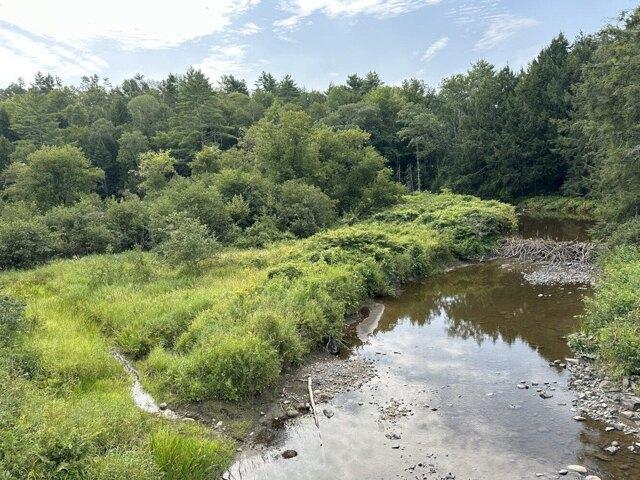 M Lhinckley Rd #, Canaan, Plot For Sale
