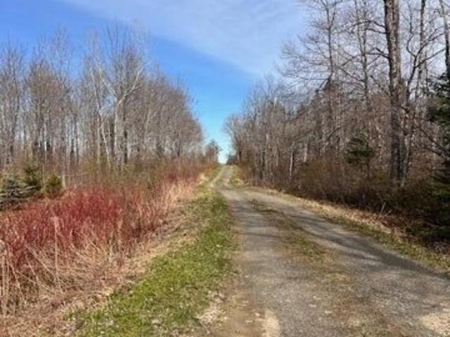 M P/o Drews Mill Rd, Linneus, Plot For Sale