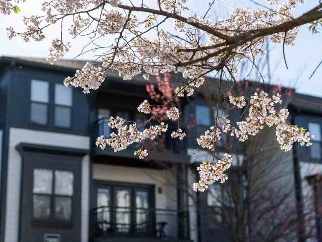 M Street 2 Bedroom Apartment for Rent at 950 Marietta St Nw, Atlanta, GA 30318 Marietta Street Artery