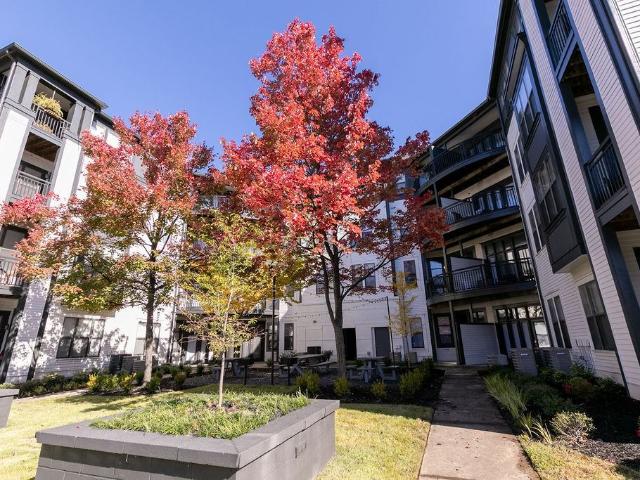M Street 2 Bedroom Apartment for Rent at 950 Marietta St Nw, Atlanta, GA 30318 Marietta Street Artery