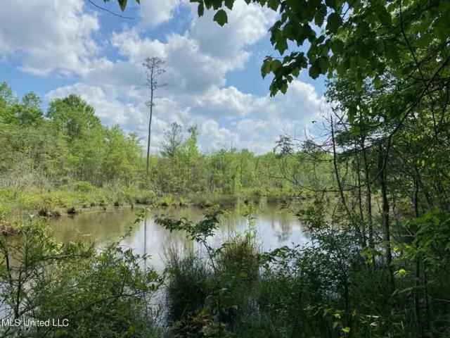 m S 503, HICKORY MS 39332 Vacant Land For Sale MLS# 4083738