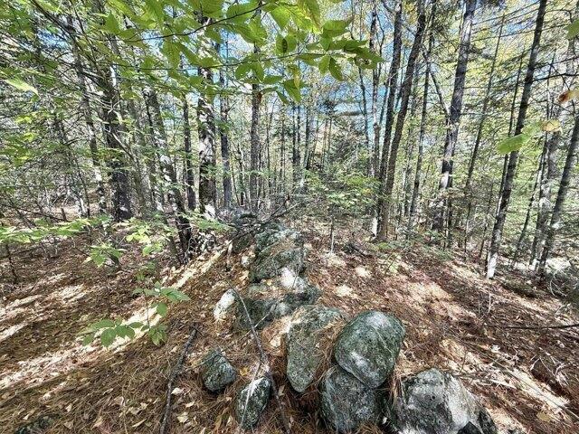 M Tuell Hill Rd, Sumner, Plot For Sale