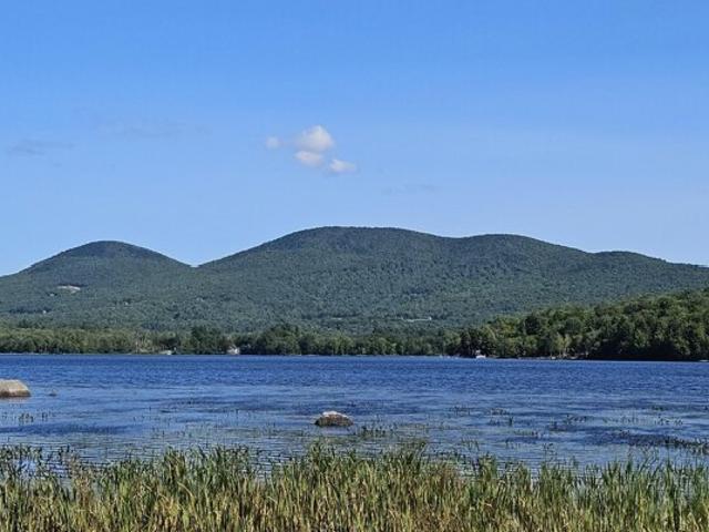 M U L Loon Cove Ln, Strong, Home For Sale