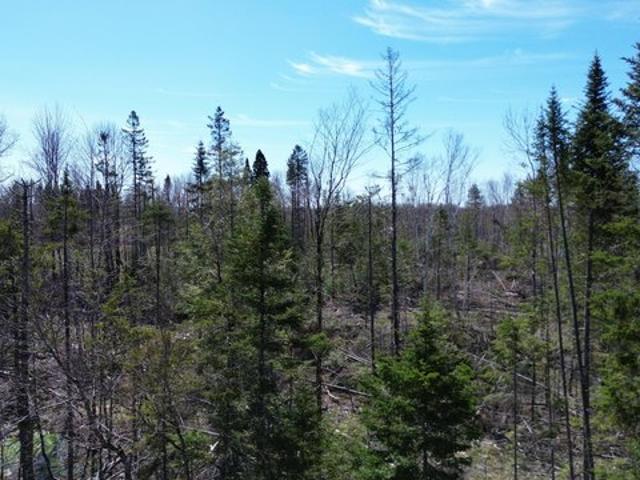M 1 31C B Rd, Hammond, ME 04730