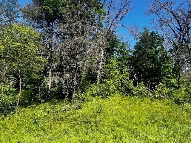 M 37 Parcel 1, Irons, MI 49644