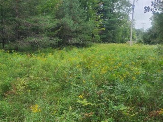 M 55 # M55, Whittemore, MI 48770