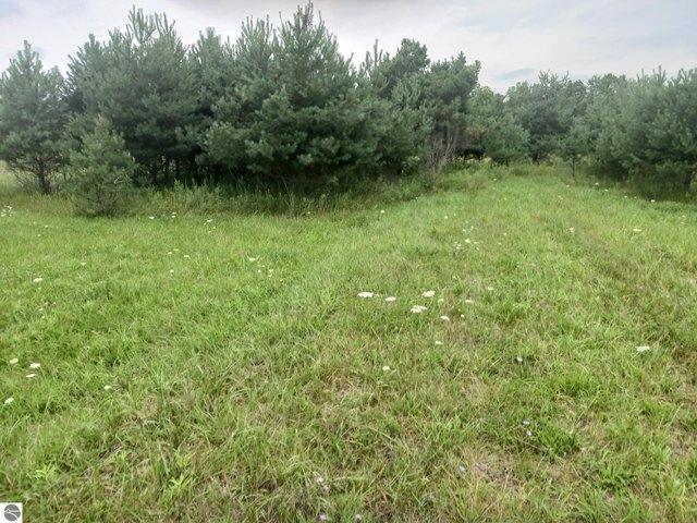 M 55 # M55, Prescott, MI 48756
