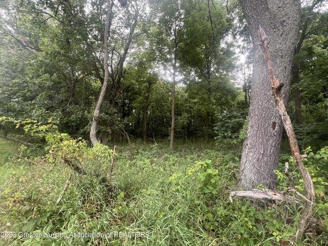 M 50 # M50, Eaton Rapids, MI 48827
