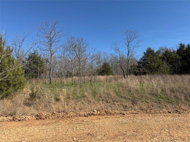 Mc 3015 72 Rd, Pyatt, AR 72672