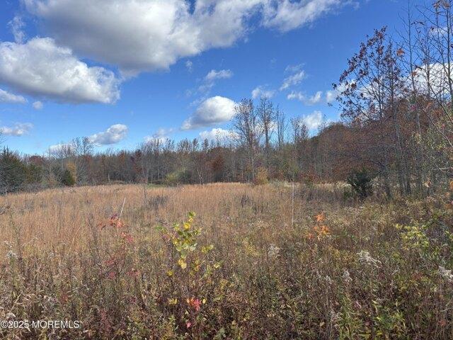 Mc Caffery Rd, Manalapan, Plot For Sale