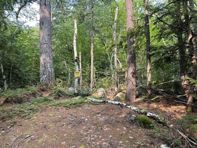 Mcnulty Ln Lot, Rome, Plot For Sale