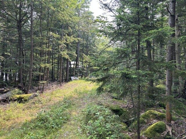 Mcnulty Ln Lot, Rome, Plot For Sale