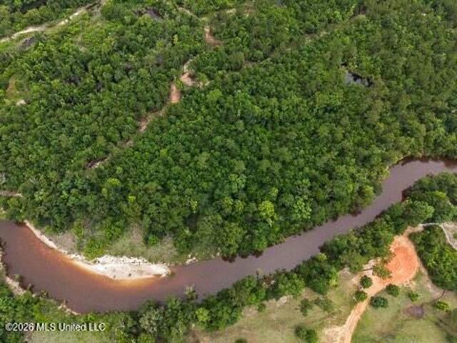Mcneill Mchenry Road, Poplarville, MS 39470