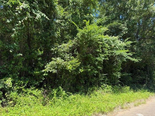 McNiel St, Palestine, TX 75801