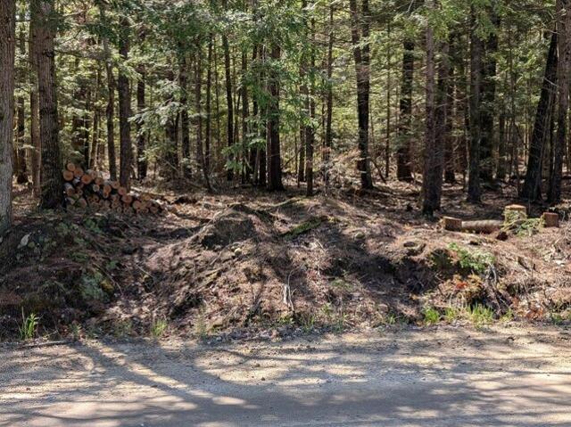 Mcallister Rd, Otisfield, Plot For Sale