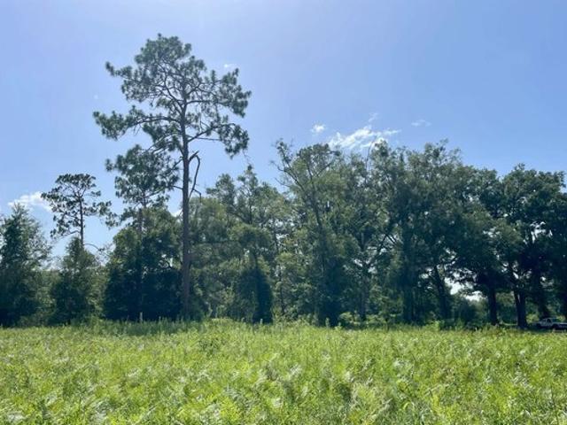 McAlpin, FL 32062