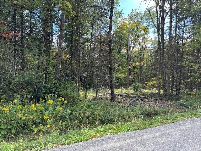 McAndrews Rd Lot 7, Andover, NY 14806