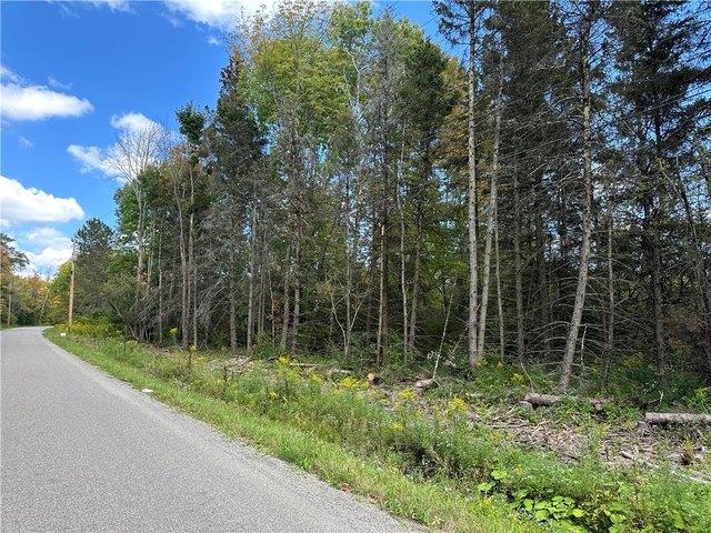 McAndrews Rd Lot 9, Andover, NY 14806