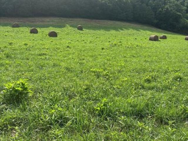McBride Rd Lot 2, Morristown, TN 37814