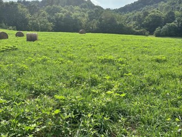 McBride Rd Lot 3, Morristown, TN 37814