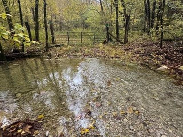 McBroom Branch Rd, Baxter, TN 38544