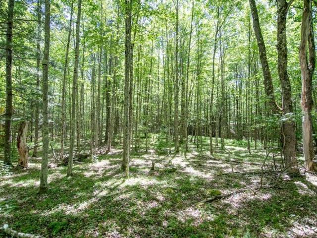 McCulley Hts Lot 15, Davenport, NY 13750