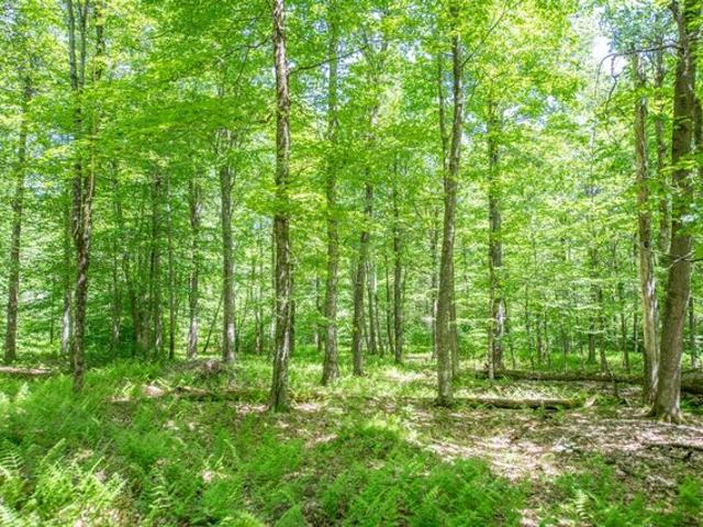 McCulley Hts Lot 33, Davenport, NY 13750