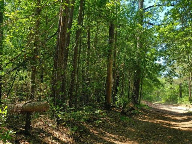 McCain Rd, North Augusta, SC 29860