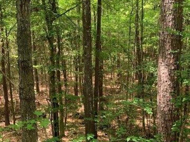 McCall Creek MS 39647 94206854