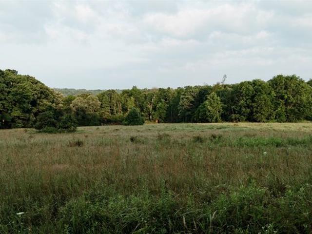 McCaully Hill Rd, Tidioute, PA 16351