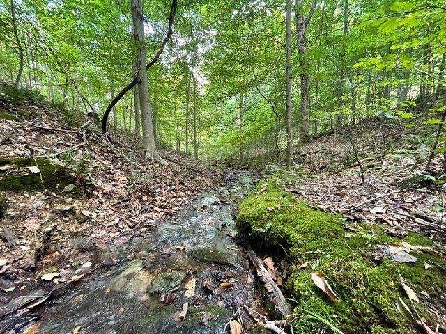 McClanahan Rd, Hampshire, TN 38461