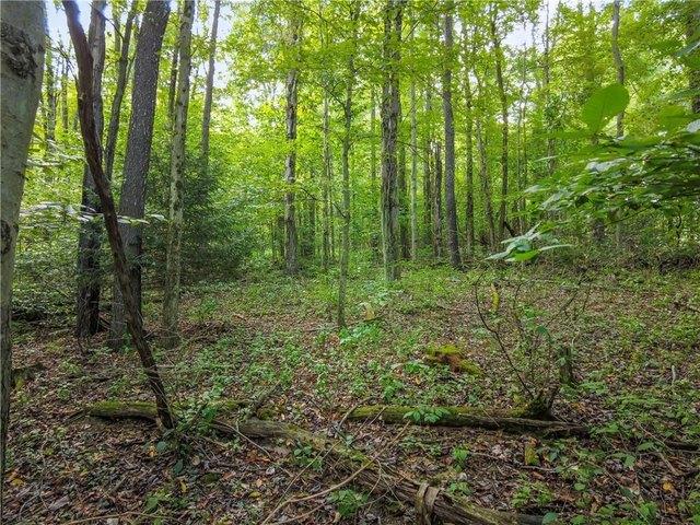 Mcclain, Beaver Falls, PA 15010