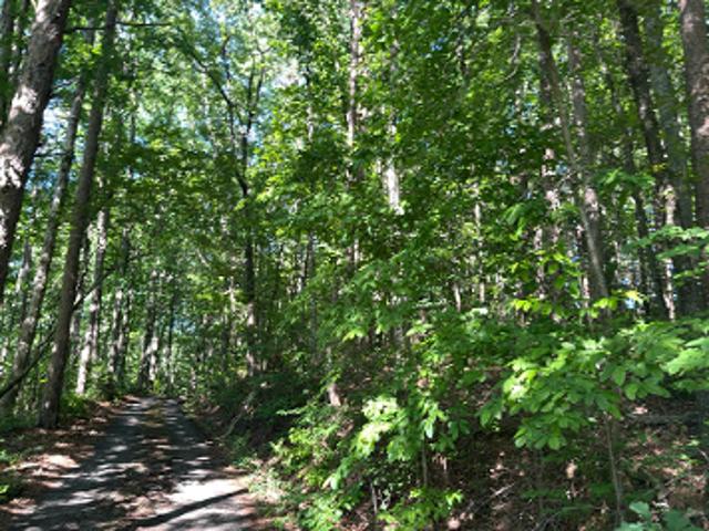 Mcclure Hill Ln