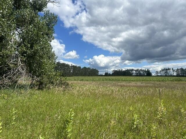 McCoy Rd Parcel 1, Gaylord, MI 49735