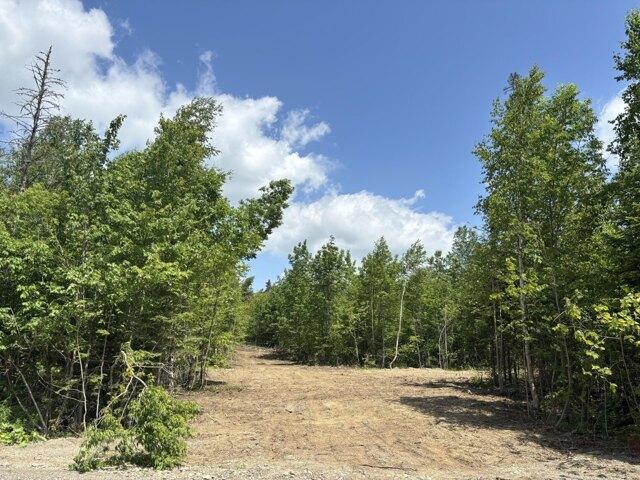 Mcdonald Rd Lot A, Littleton, Plot For Sale
