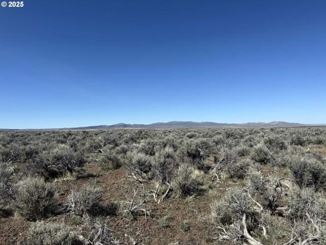 McDowell Creek RD # TL 500
