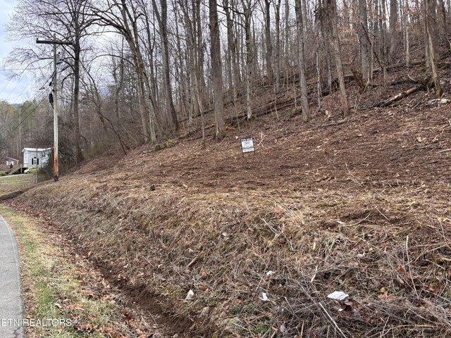 McGaha Hollow Rd, Dandridge, TN 37725
