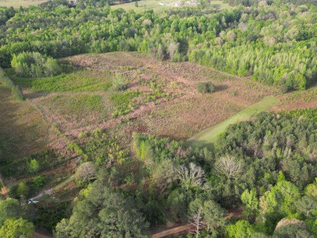 McGee Road, Starkville, MS 39759