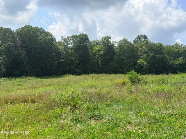 McGhee St, Jamestown, TN 38556